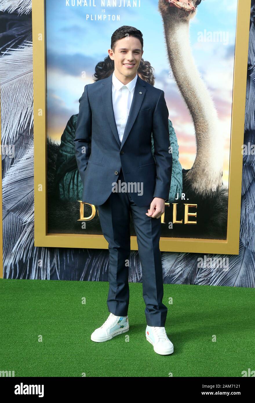 Los Angeles, Ca. 11th Jan, 2020. Harry Collett, at the premiere of ...