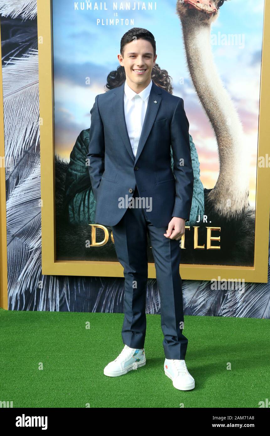 Los Angeles, Ca. 11th Jan, 2020. Harry Collett, at the premiere of ...