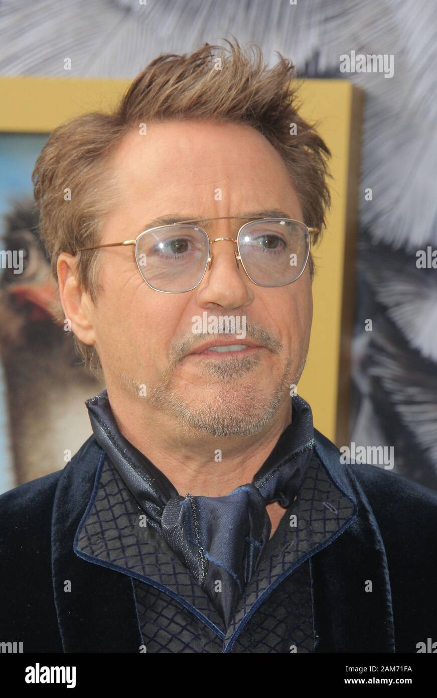 Robert Downey Jr. 01/11/2020 The Premiere of "Dolittle" held at The ...