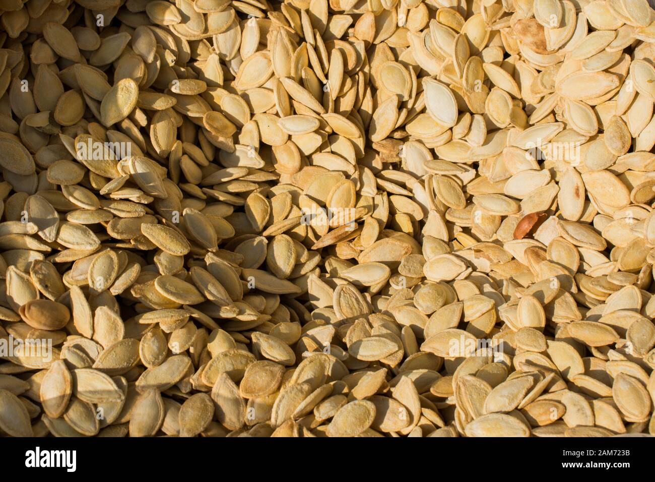 A lot of seeds Background texture of the pumpkin seeds Stock Photo - Alamy