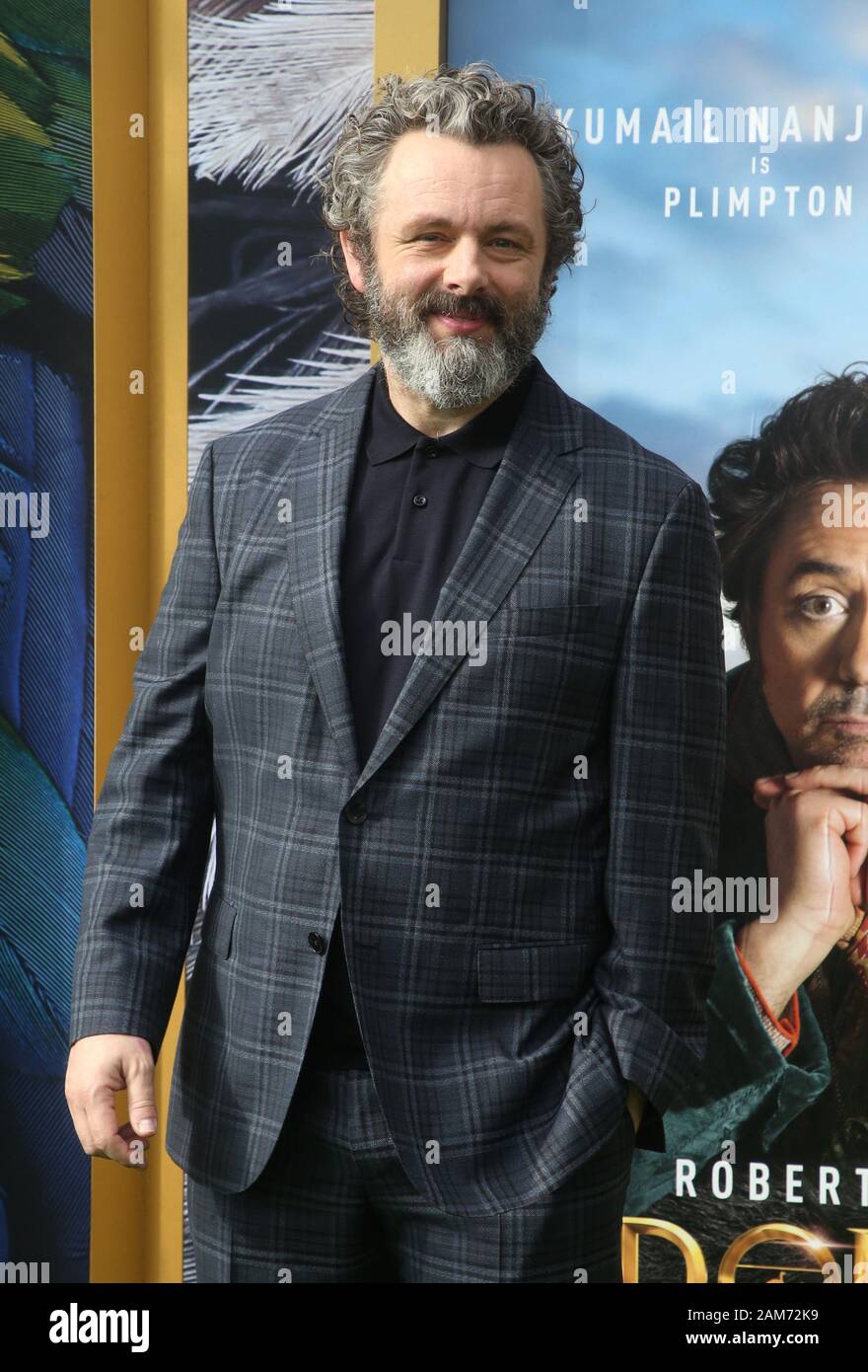Los Angeles, Ca. 11th Jan, 2020. Michael Sheen, at the premiere of ...