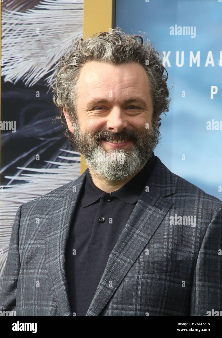 Los Angeles, Ca. 11th Jan, 2020. Michael Sheen, at the premiere of ...