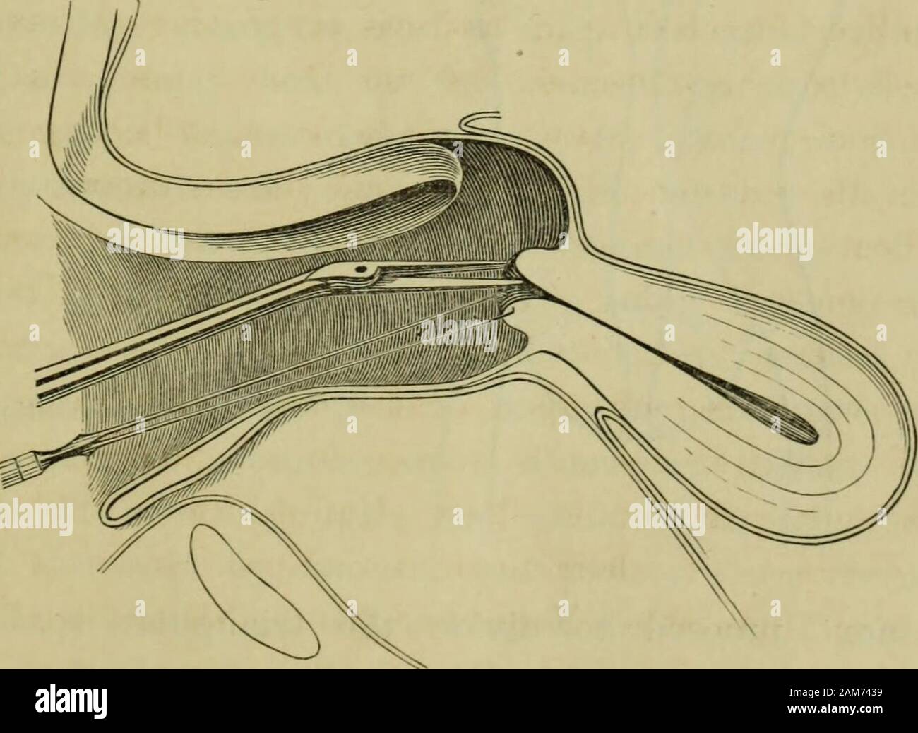 The Humboldt medical archives . nting such symptoms, on whom a bi ...