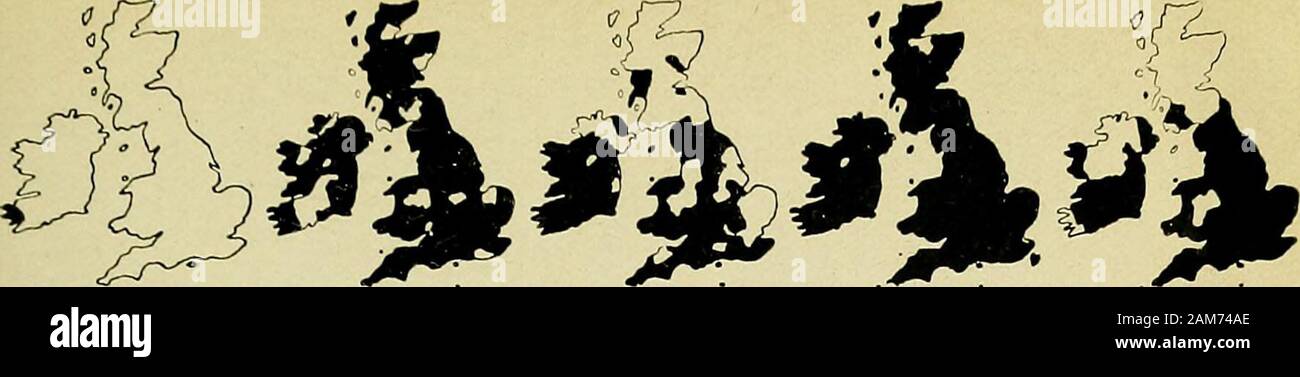 Arion Subfuscus High Resolution Stock Photography and Images - Alamy