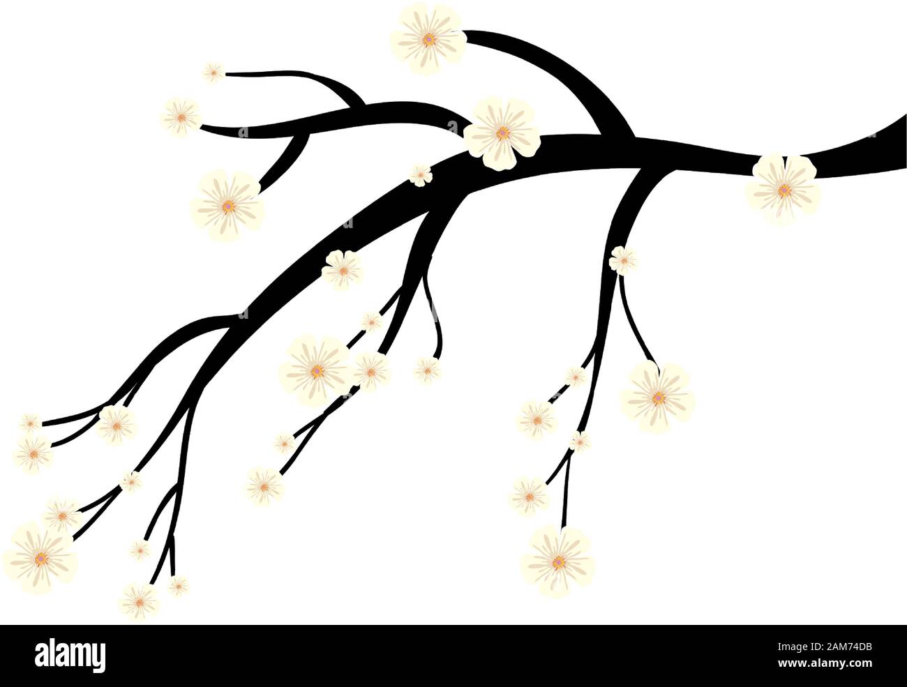 tree branch plant with flowers Stock Vector Image & Art - Alamy