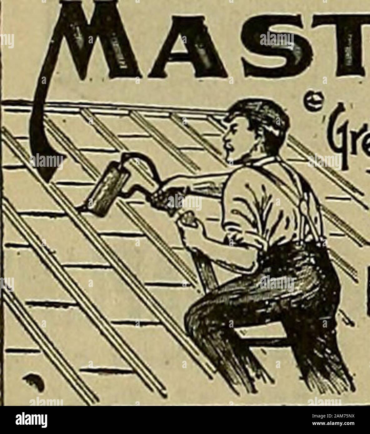 Fungine hi-res stock photography and images - Alamy