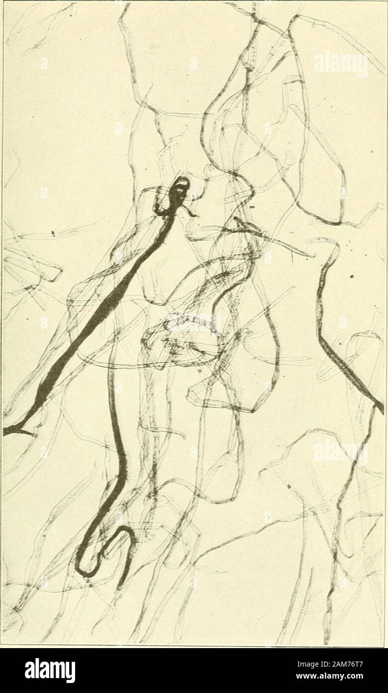 Ccok hi-res stock photography and images - Alamy