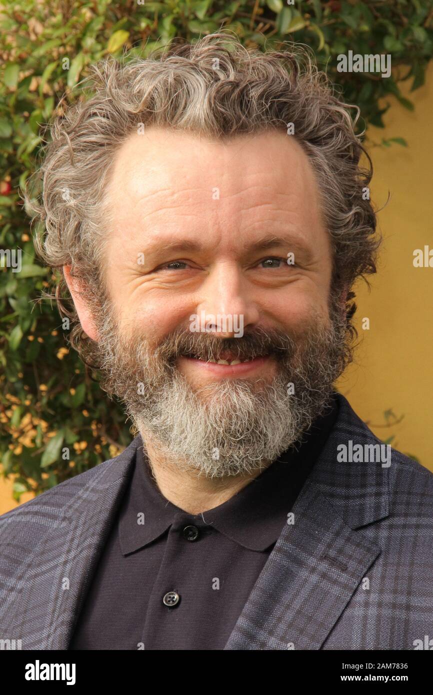 Los Angeles, USA. 11th Jan, 2020. Michael Sheen at Universal Pictures ...