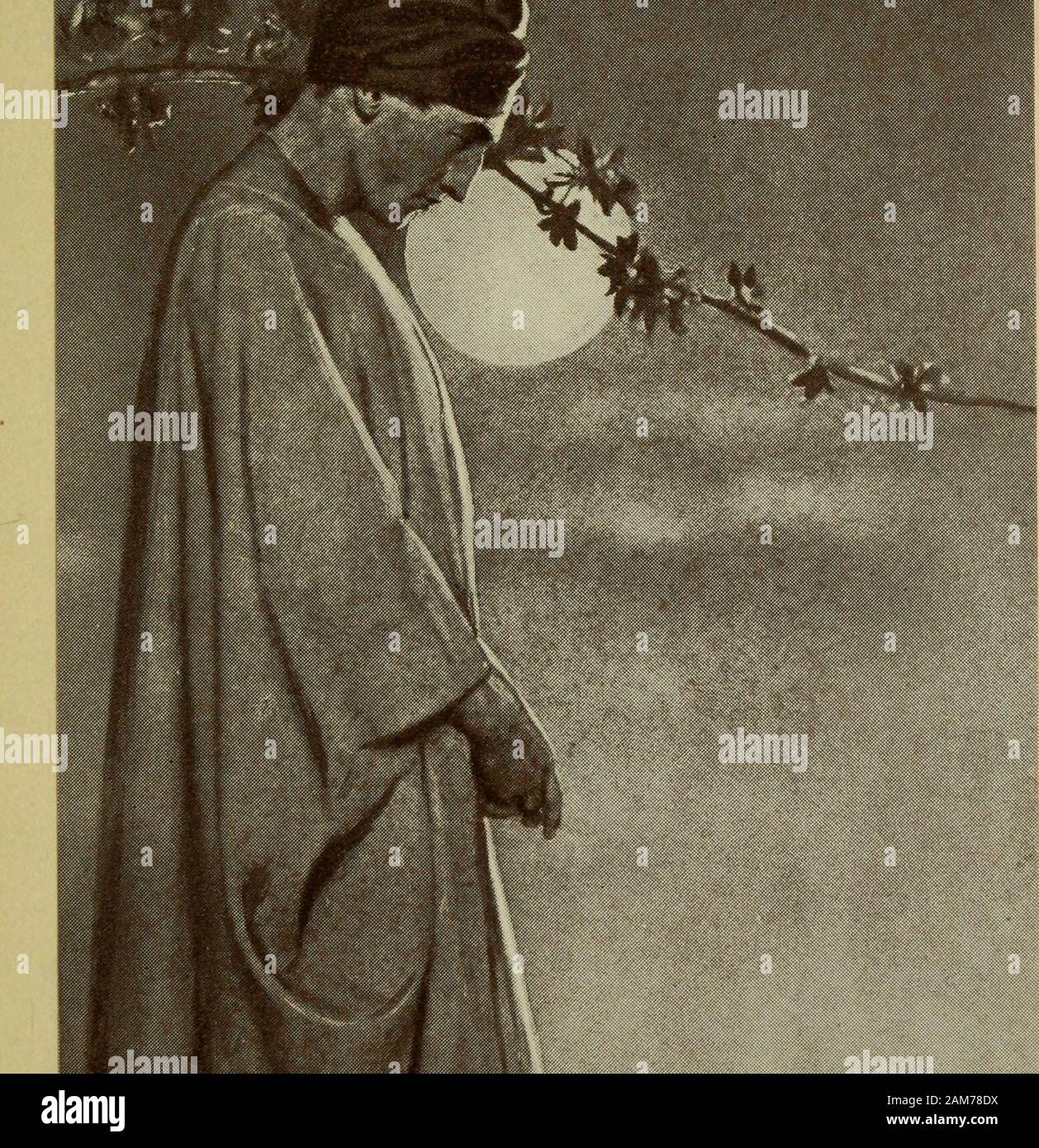 The Rubaiyat of Omar Khayyam . »^OW the New Year revivingJ * old ...