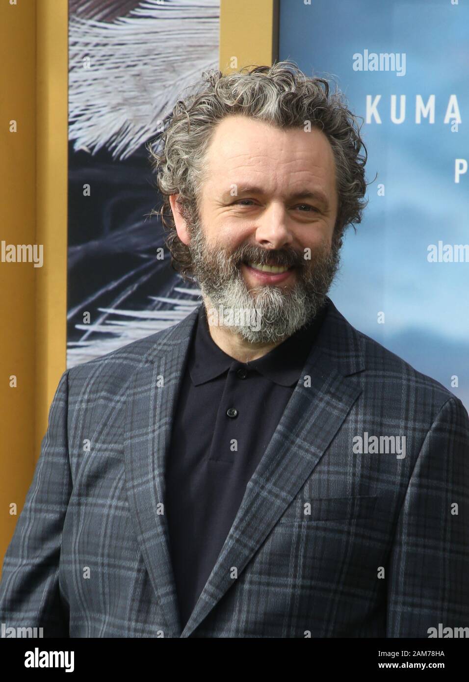 11 January 2020 - Westwood, California - Michael Sheen. the premiere of ...