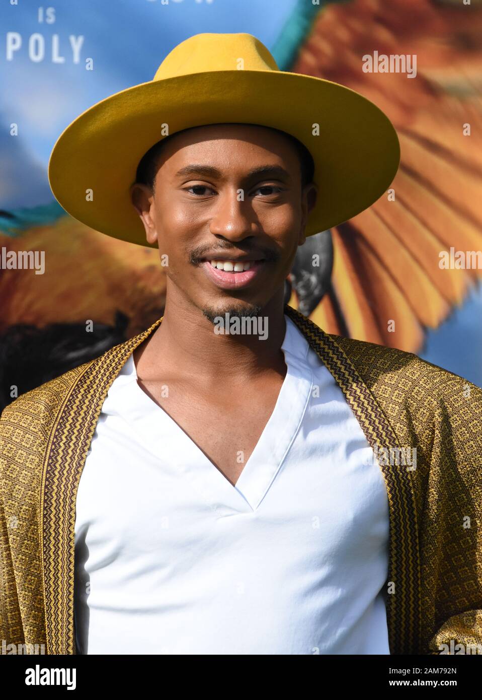 Westwood, California, USA 11th January 2020 Television personality ...