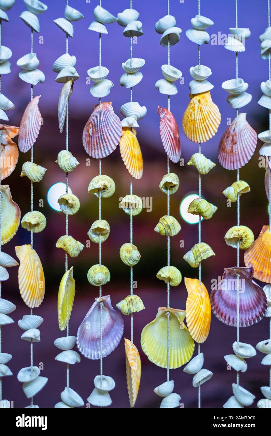 seamless pattern with colorful shells Stock Photo - Alamy