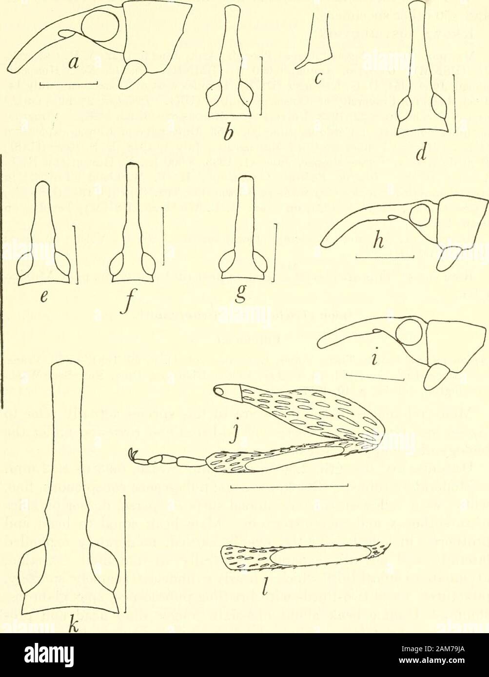 15 07 g hi-res stock photography and images - Alamy