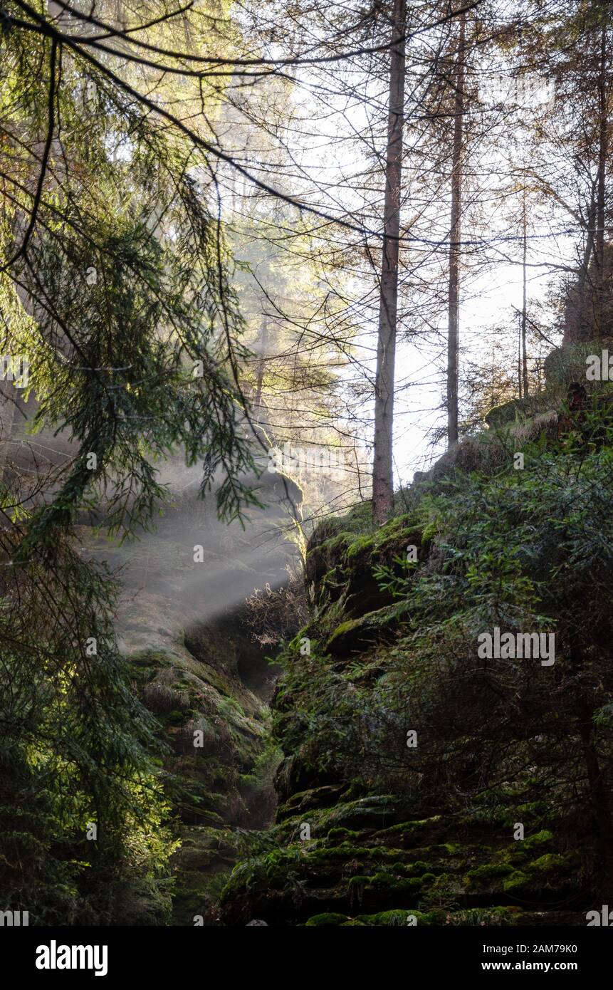 Narrow ravine hi-res stock photography and images - Alamy
