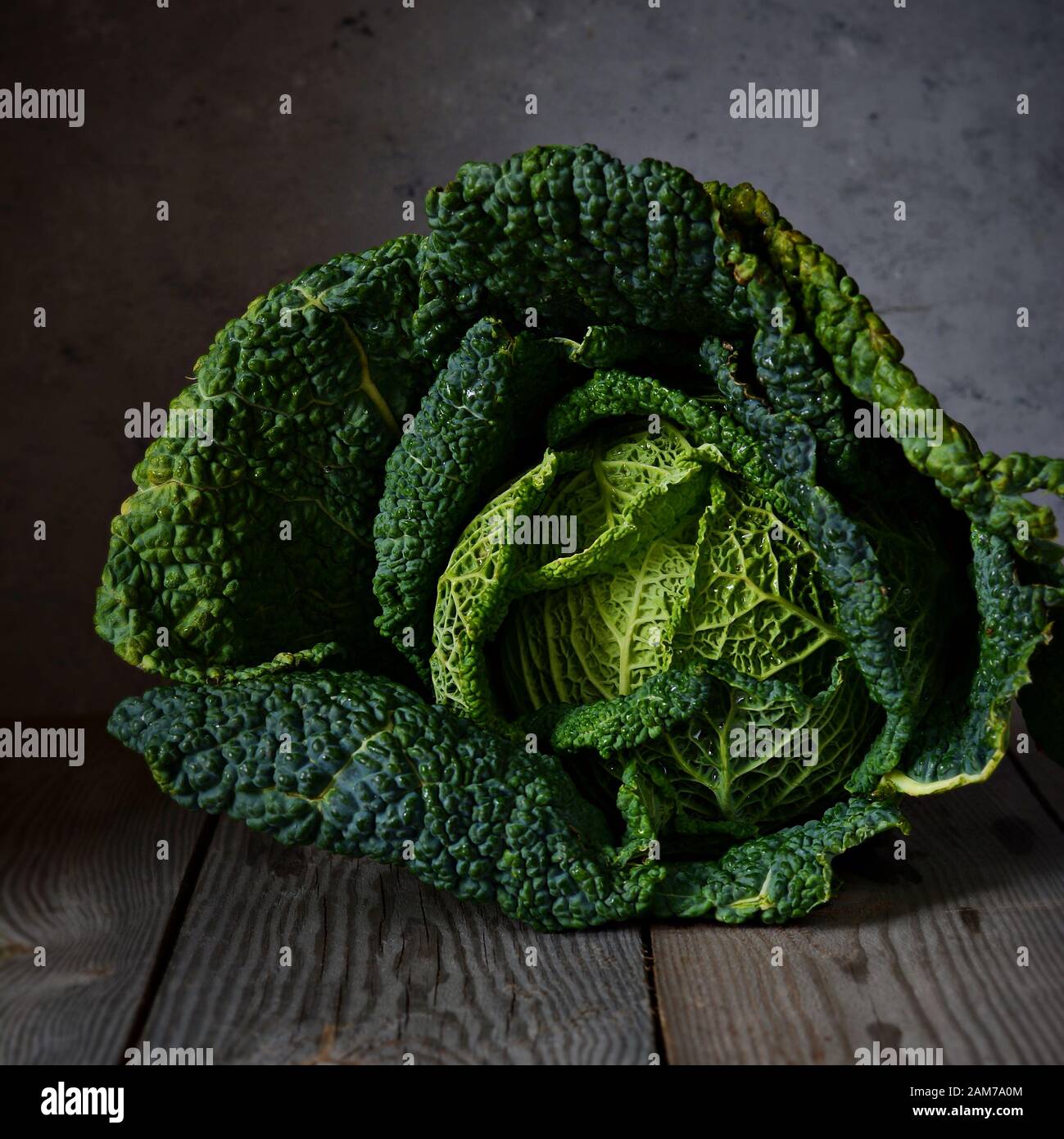 Green savoy cabbage on a dark background closeup. Healthy vegetable ...
