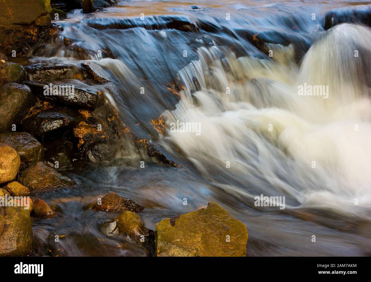 Impetuous hi-res stock photography and images - Alamy
