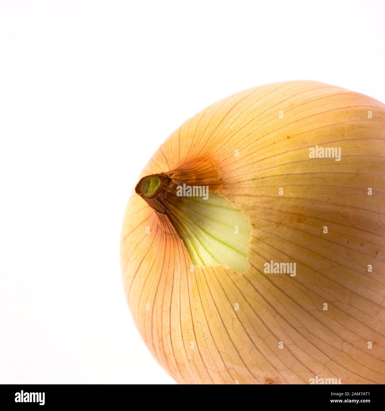 Raw onion skins hi-res stock photography and images - Alamy