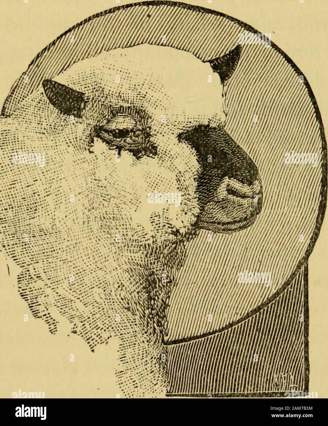 Ntained hi-res stock photography and images - Alamy