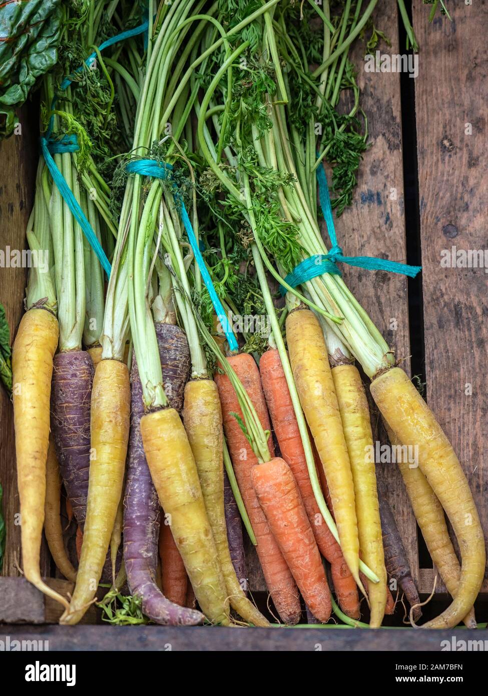 Selection of Heritage Carrots at a farmers market Stock Photo - Alamy