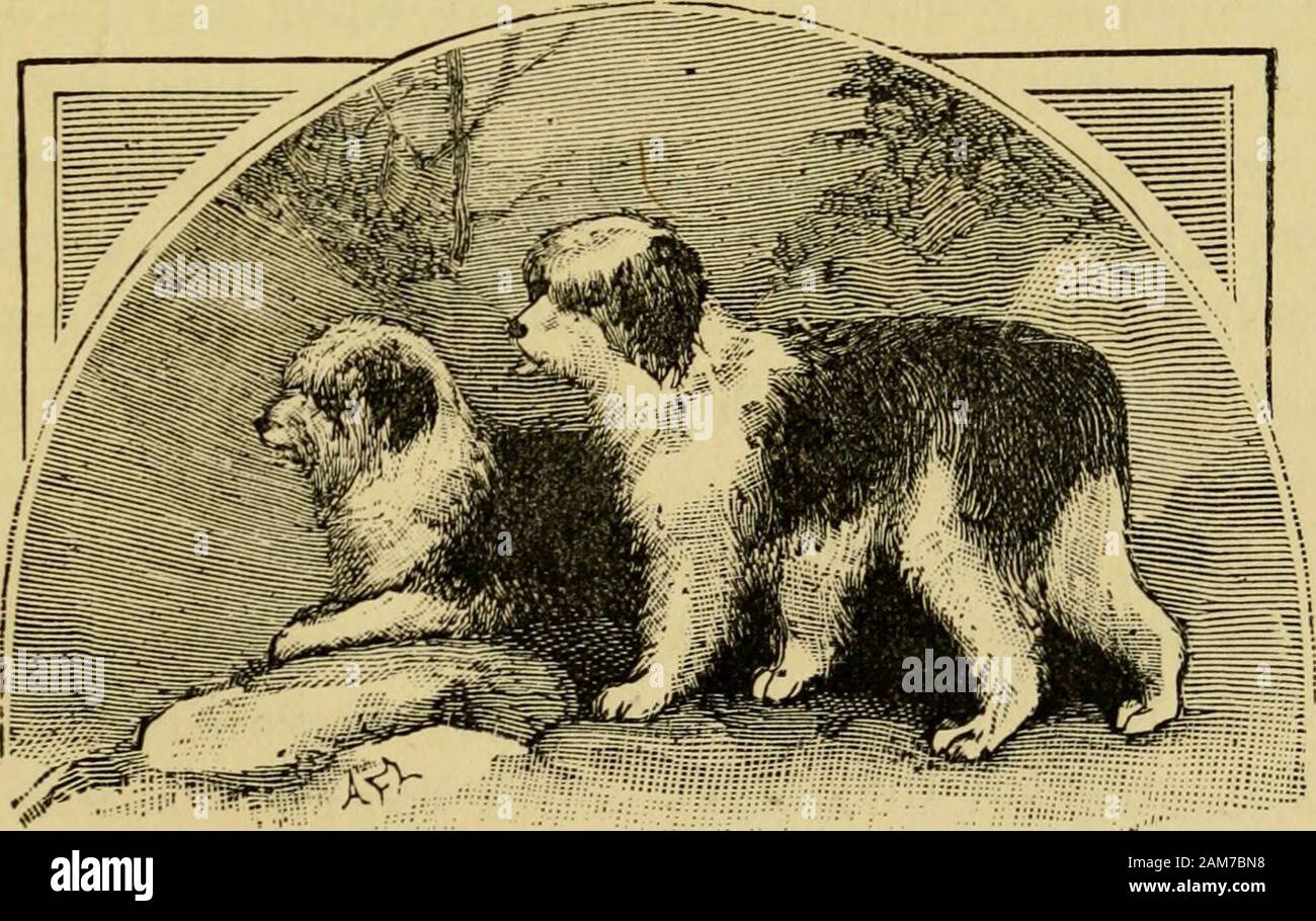 Sheep, breeds and management . ife. In their treatment of foot rot, of ...