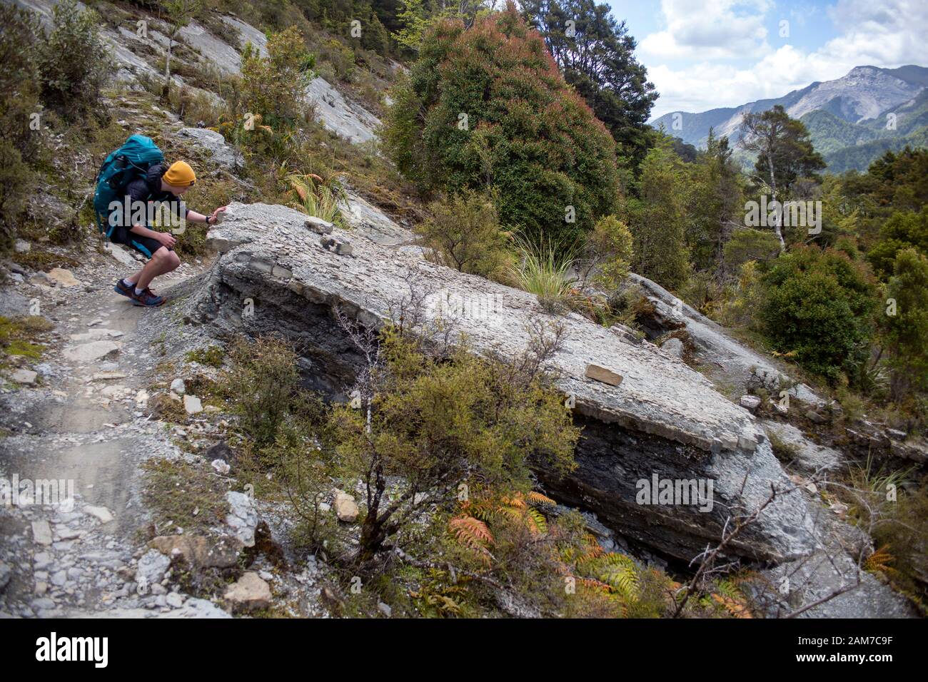 Walking the Old Ghost Road trail, Lyell to Seddonville, New Zealand ...