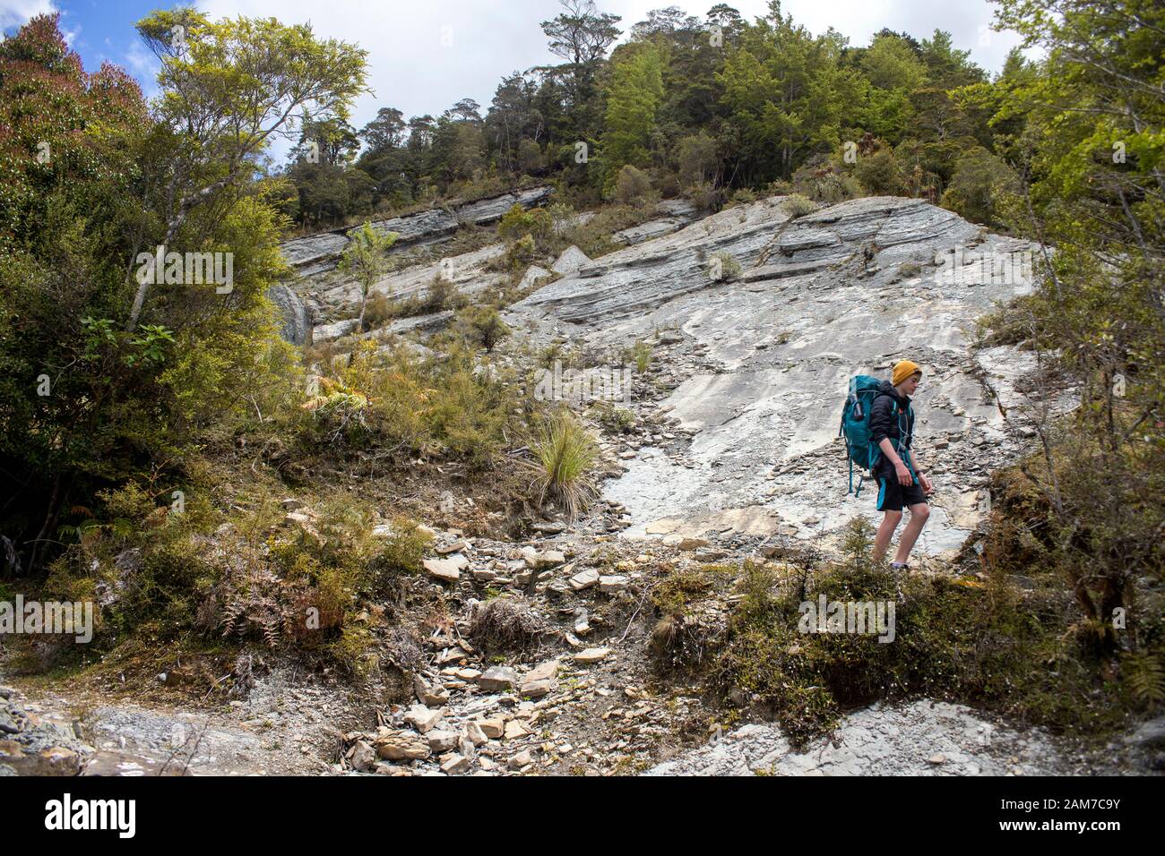 Walking the Old Ghost Road trail, Lyell to Seddonville, New Zealand ...