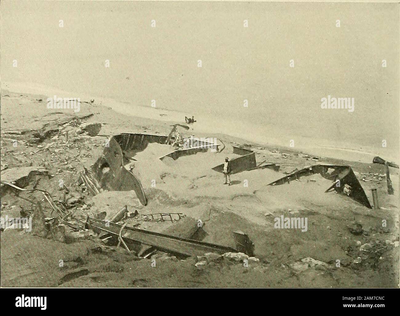 The National geographic magazine . Bread-Crust Volcanic Bomb, Mt Pelee ...