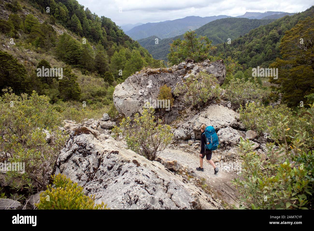 Walking the Old Ghost Road trail, Lyell to Seddonville, New Zealand ...