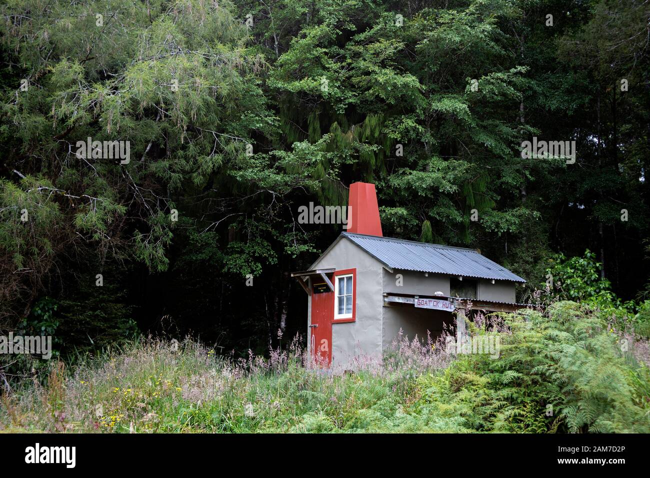 Walking the Old Ghost Road trail, Lyell to Seddonville, New Zealand ...