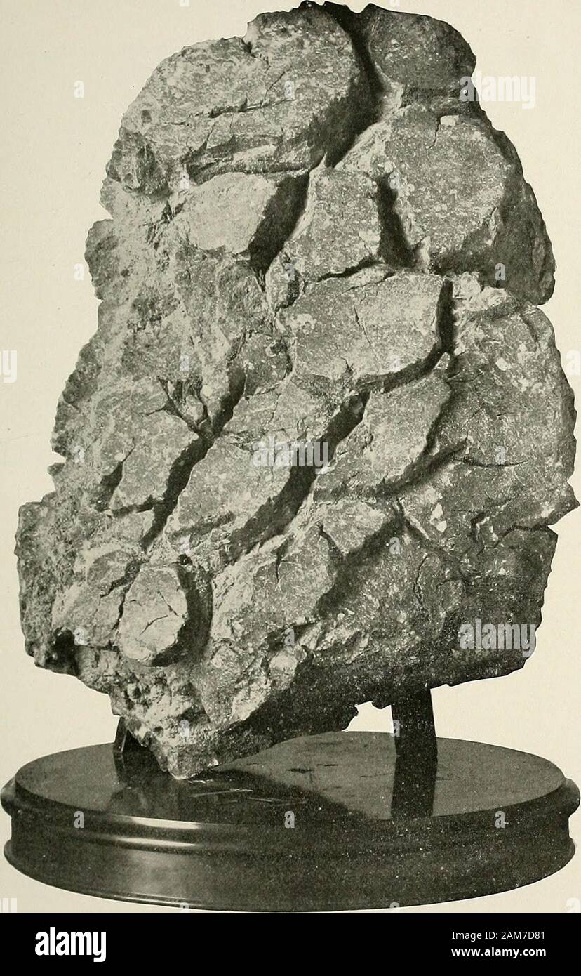 3 columnas hi-res stock photography and images - Alamy