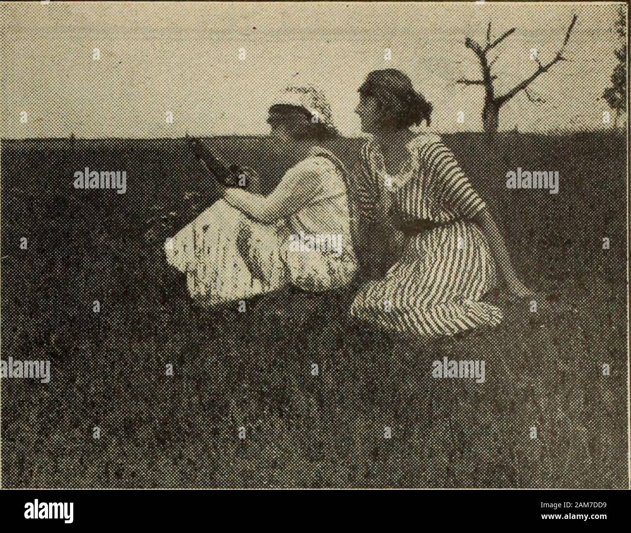 Alex harkness hi-res stock photography and images - Alamy