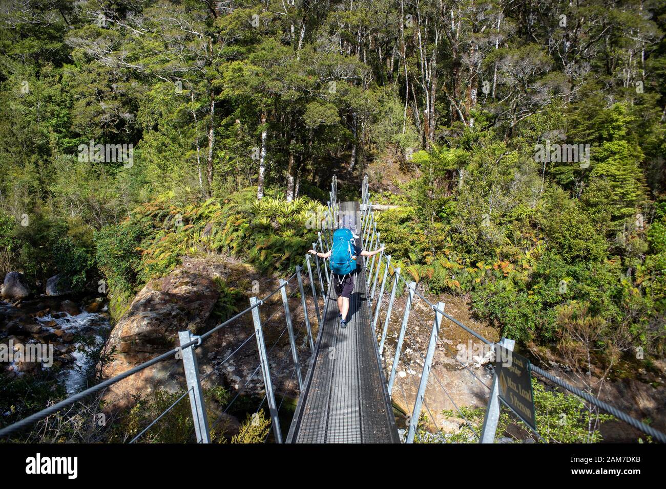 Walking the Old Ghost Road trail, Lyell to Seddonville, New Zealand ...
