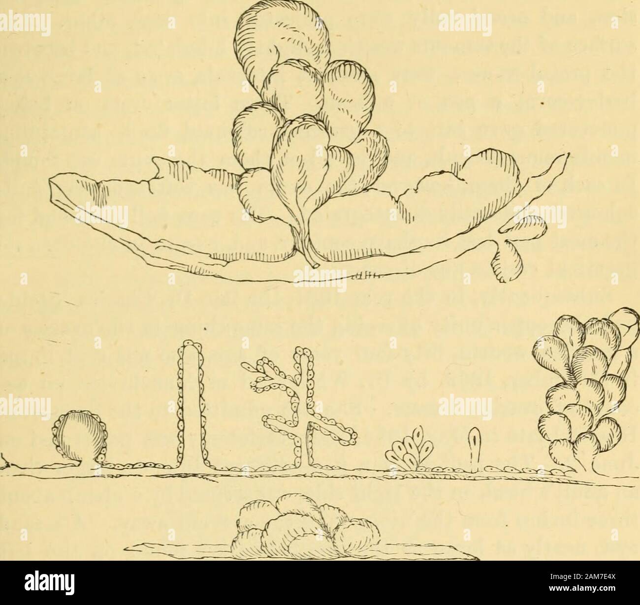 Shapings hi-res stock photography and images - Alamy