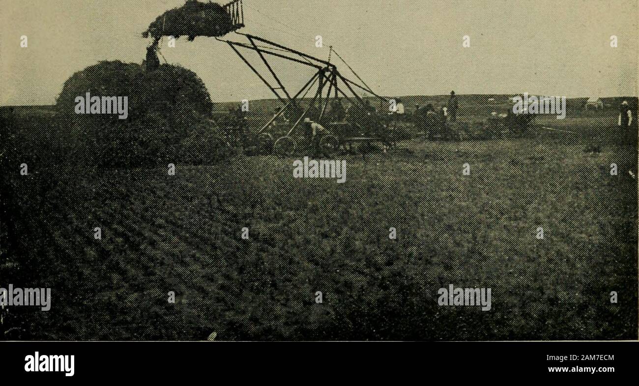 Quarter acre section hi-res stock photography and images - Alamy