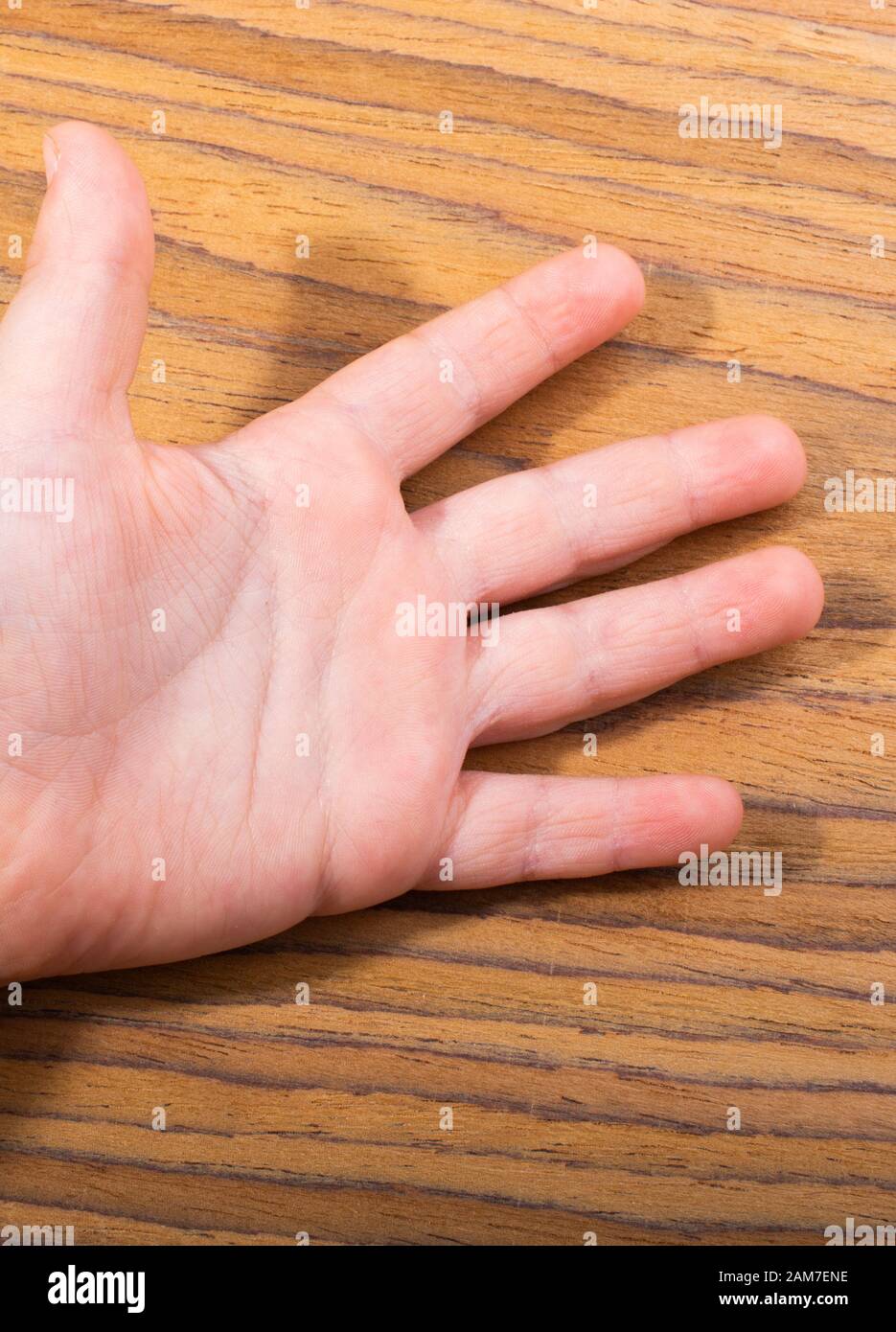 Hold toddlers hand hi-res stock photography and images - Alamy