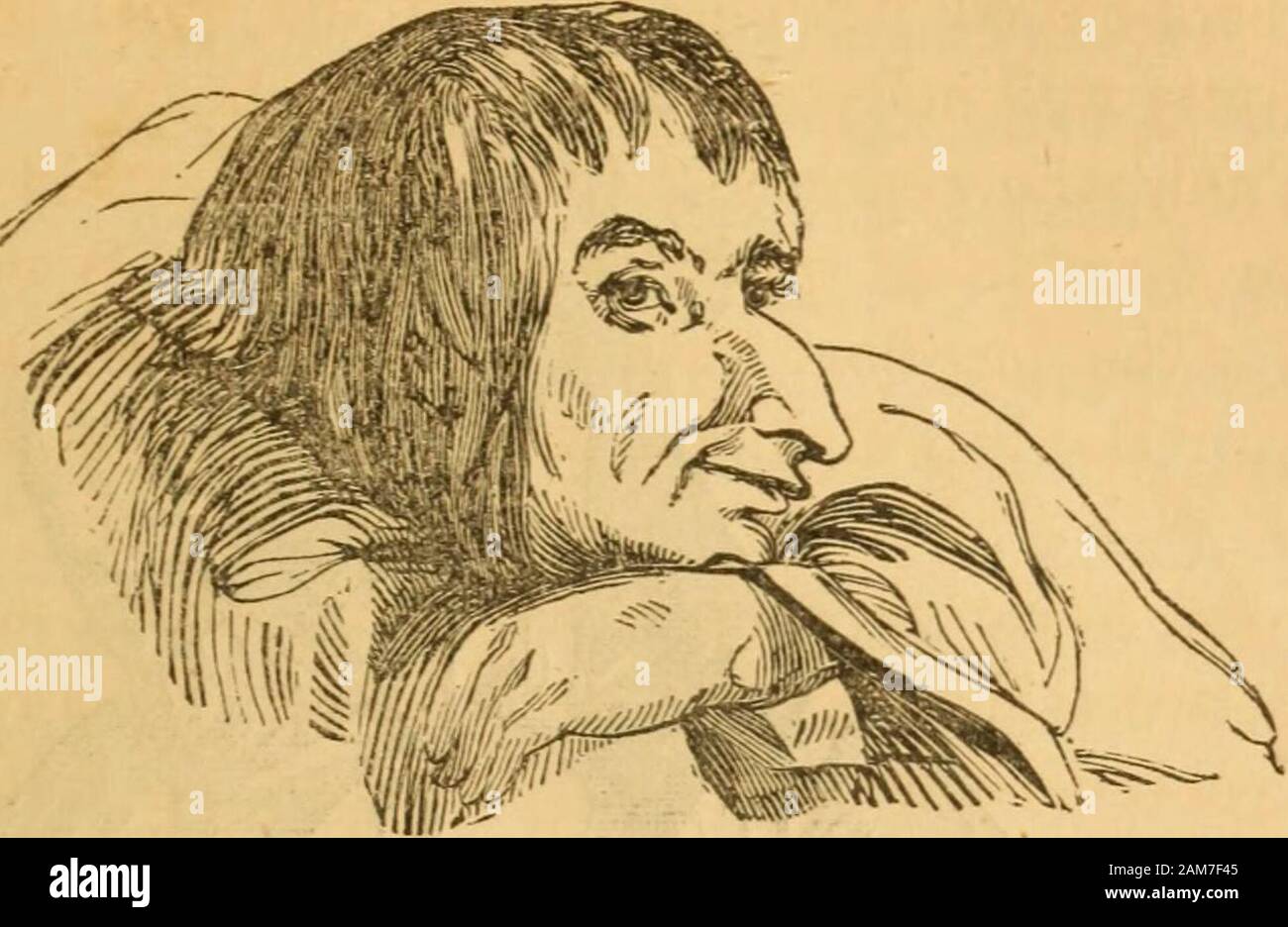 Comparative physiognomy; or, Resemblances between men and animals . THE ...