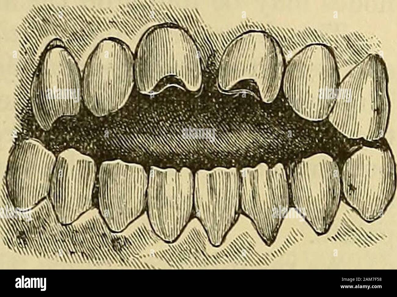 Symmetrical joints hi-res stock photography and images - Alamy