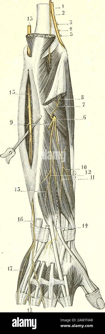 Le dos des doigts hi-res stock photography and images - Alamy