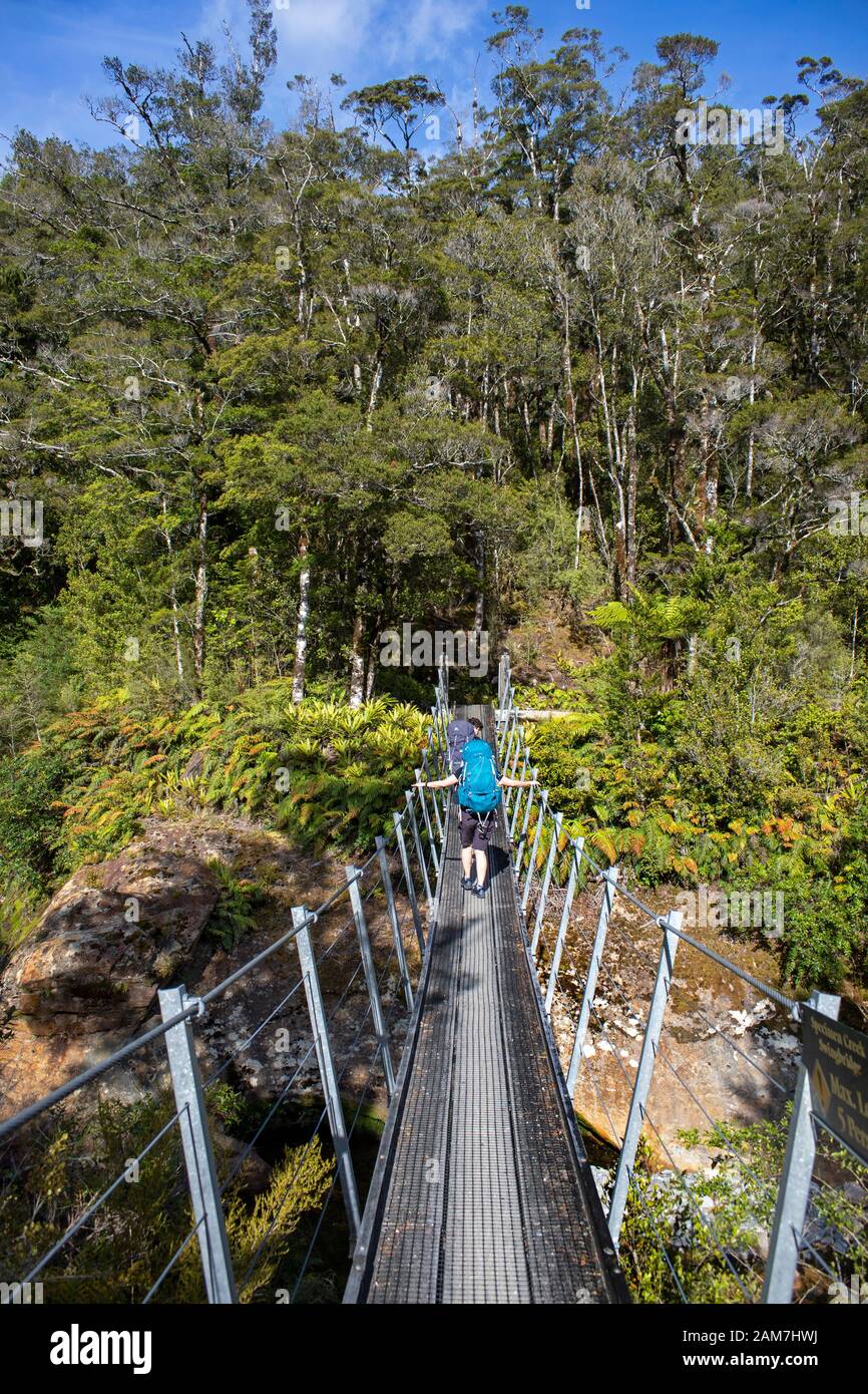 Walking the Old Ghost Road trail, Lyell to Seddonville, New Zealand ...