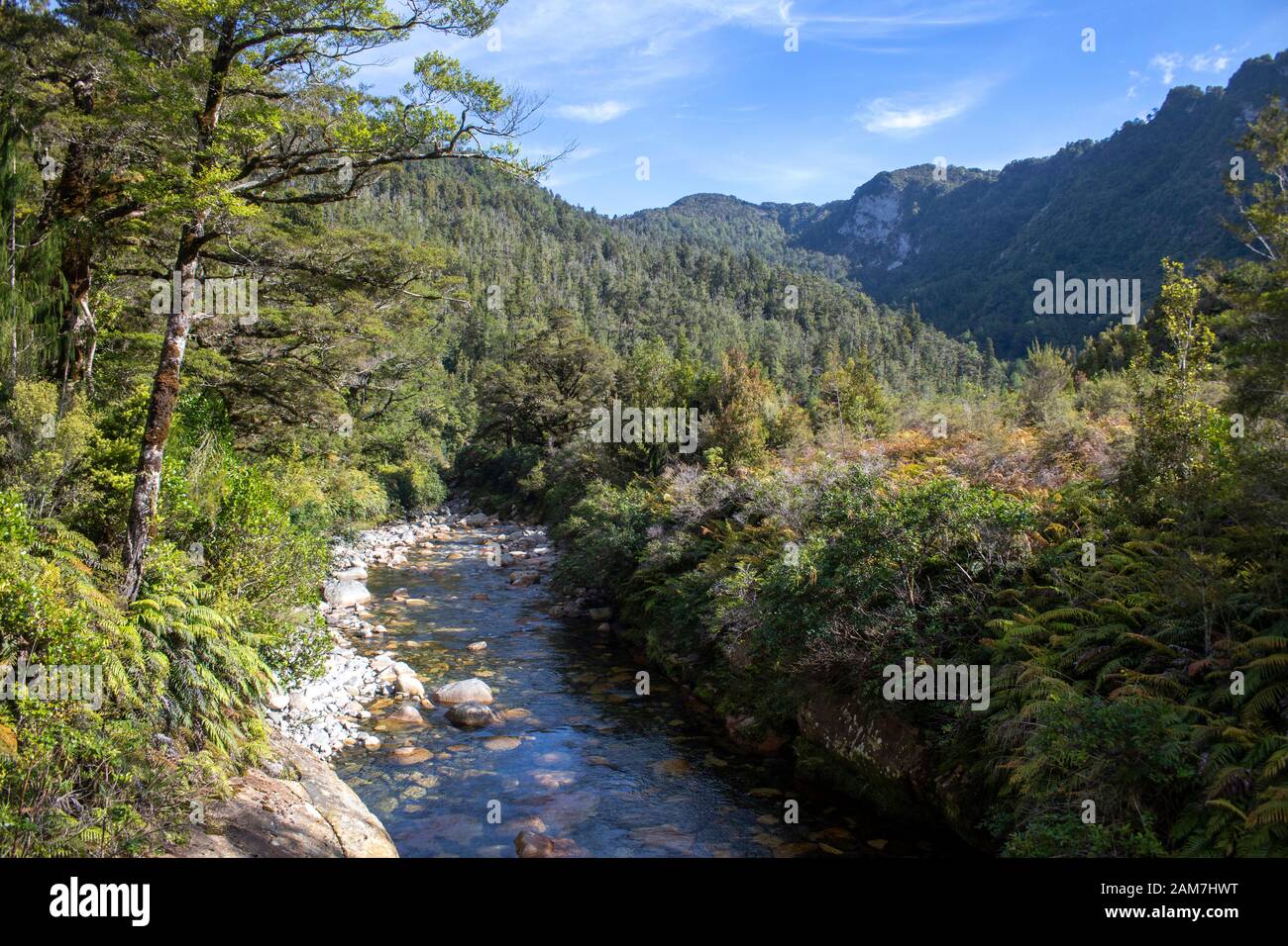 Walking the Old Ghost Road trail, Lyell to Seddonville, New Zealand ...