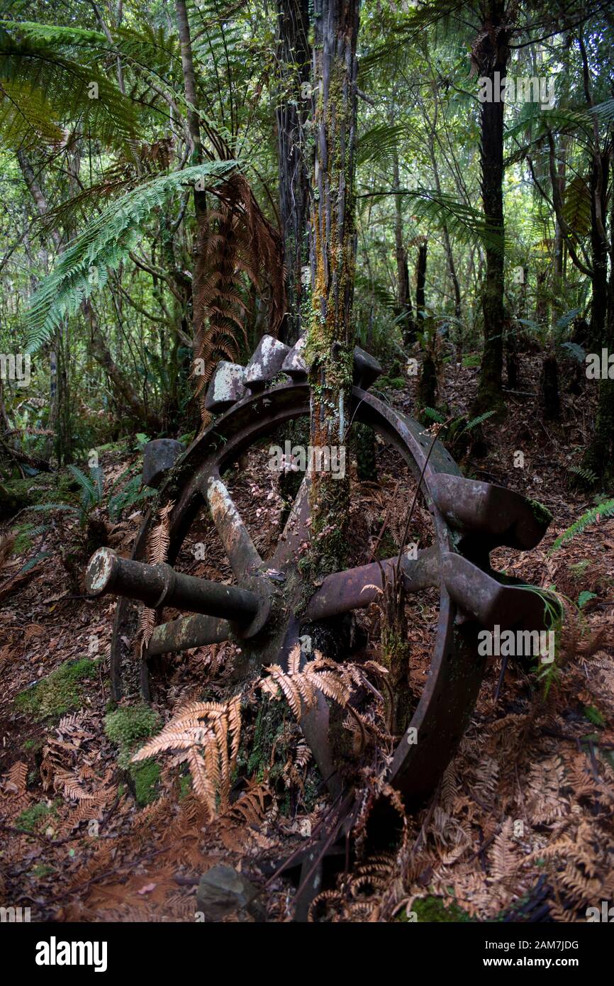 Old Ghost Road trail, New Zealand - approaching Seddonville Stock Photo ...