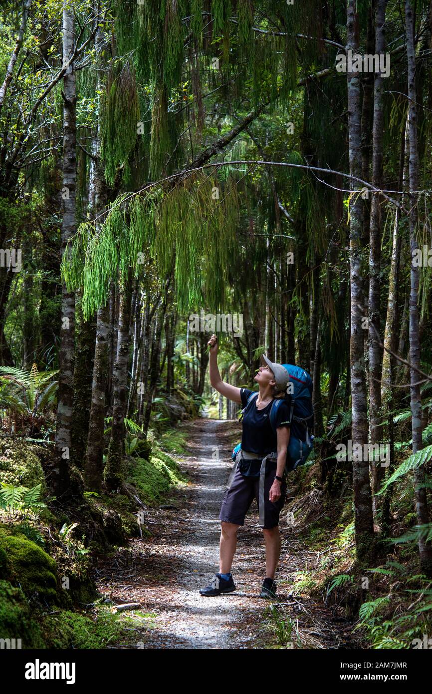 Old woman with a walker hi-res stock photography and images - Alamy