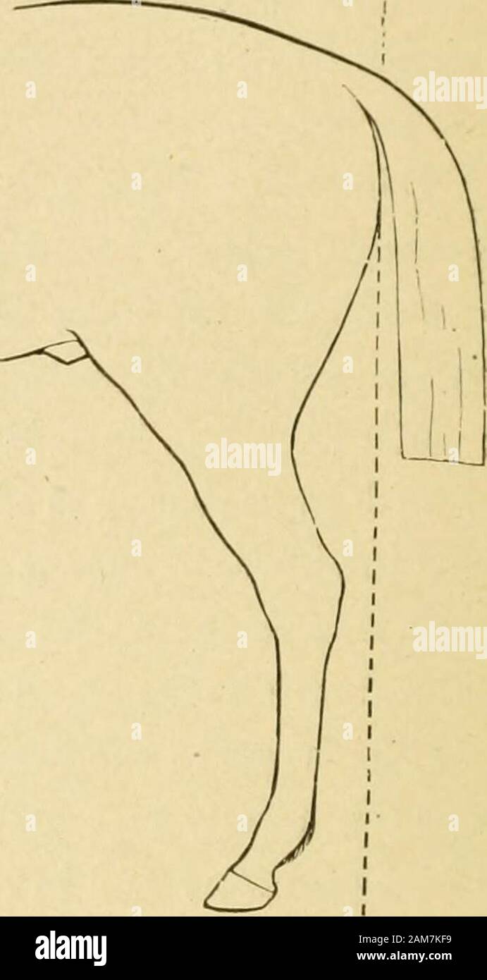Prescriptions and instructions for treating the disease of the feet and ...