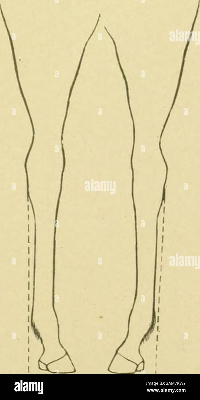 Prescriptions and instructions for treating the disease of the feet and ...