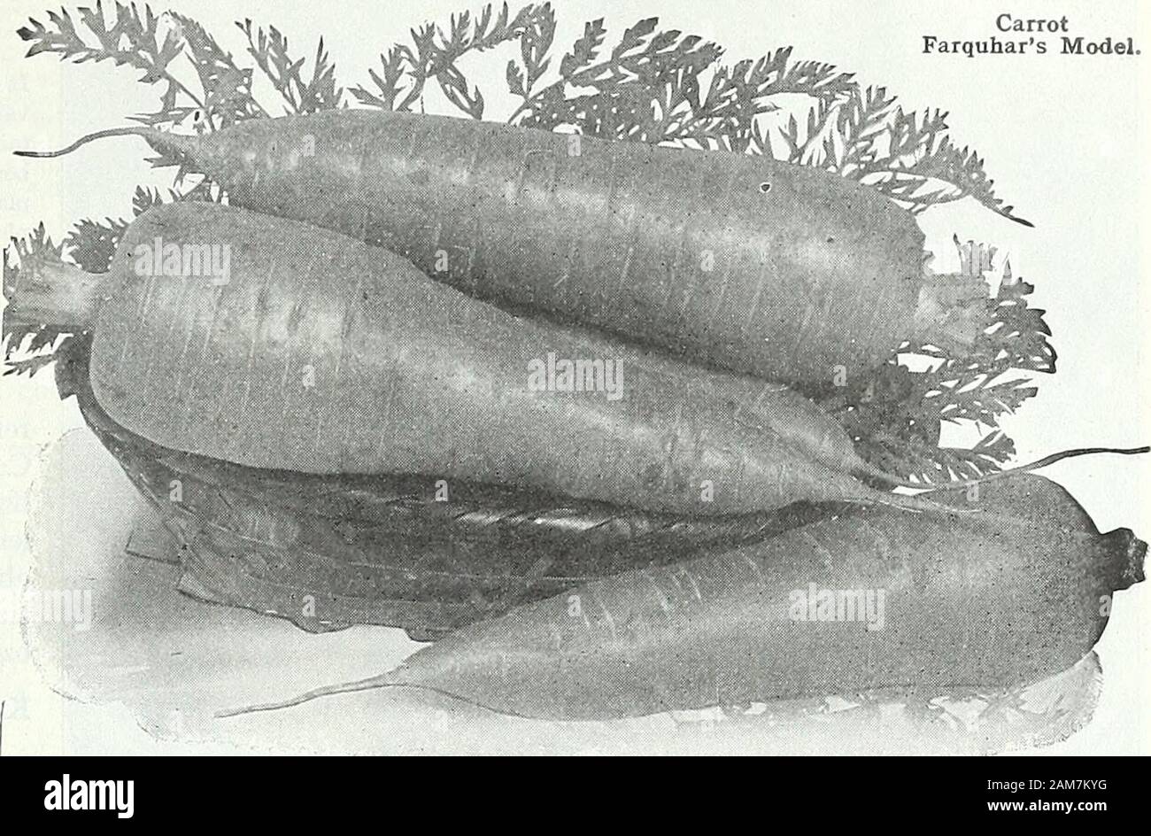 Farquhars point hi-res stock photography and images - Alamy