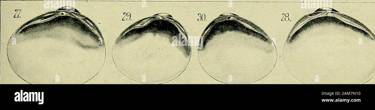 Stelfox hi-res stock photography and images - Alamy