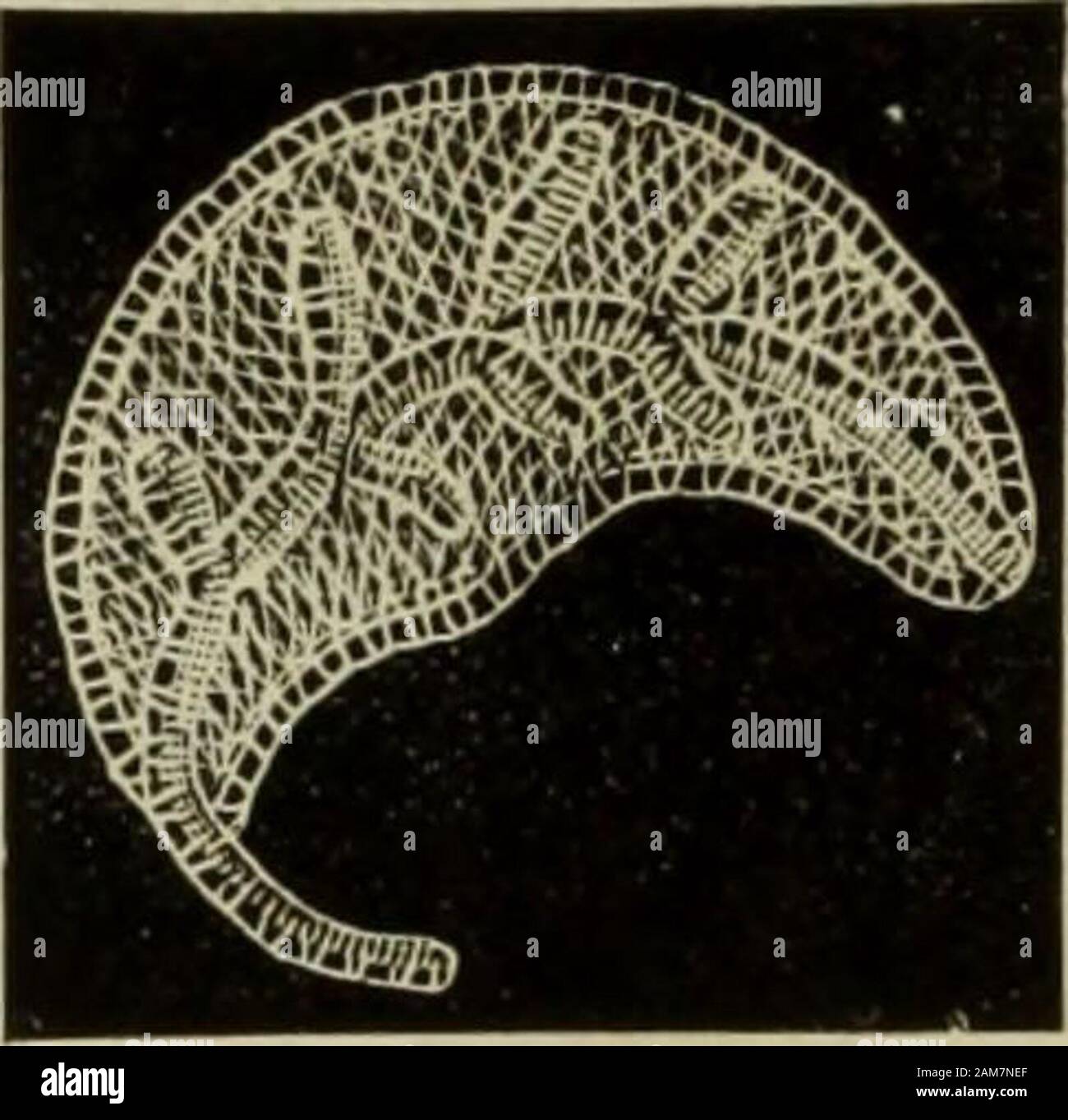 The dictionary of needlework : an encyclopaedia of artistic, plain, and ...