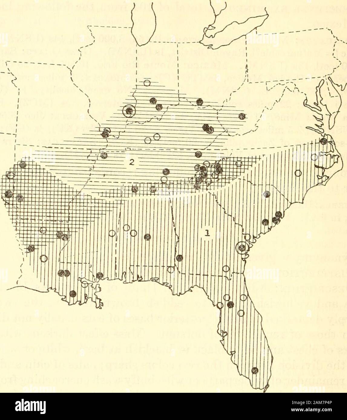 Proceedings of the United States National Museum . r the subgenus ...