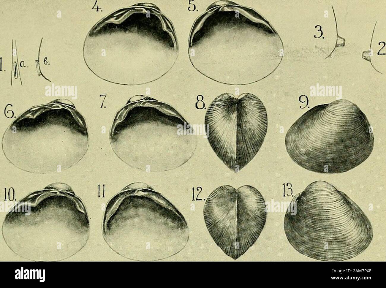 Stelfox hi-res stock photography and images - Alamy