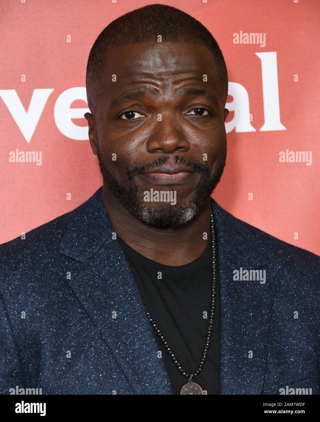 11 January 2020 - Pasadena, California - Reno Wilson. NBCUniversal ...